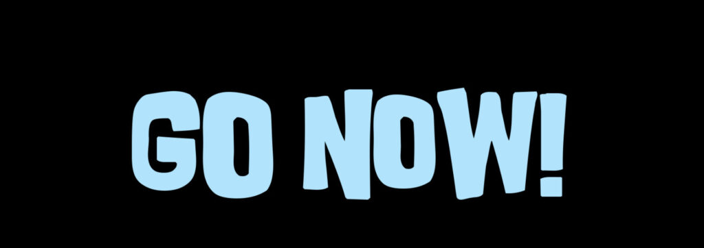 MEET THE GO NOW! BAND